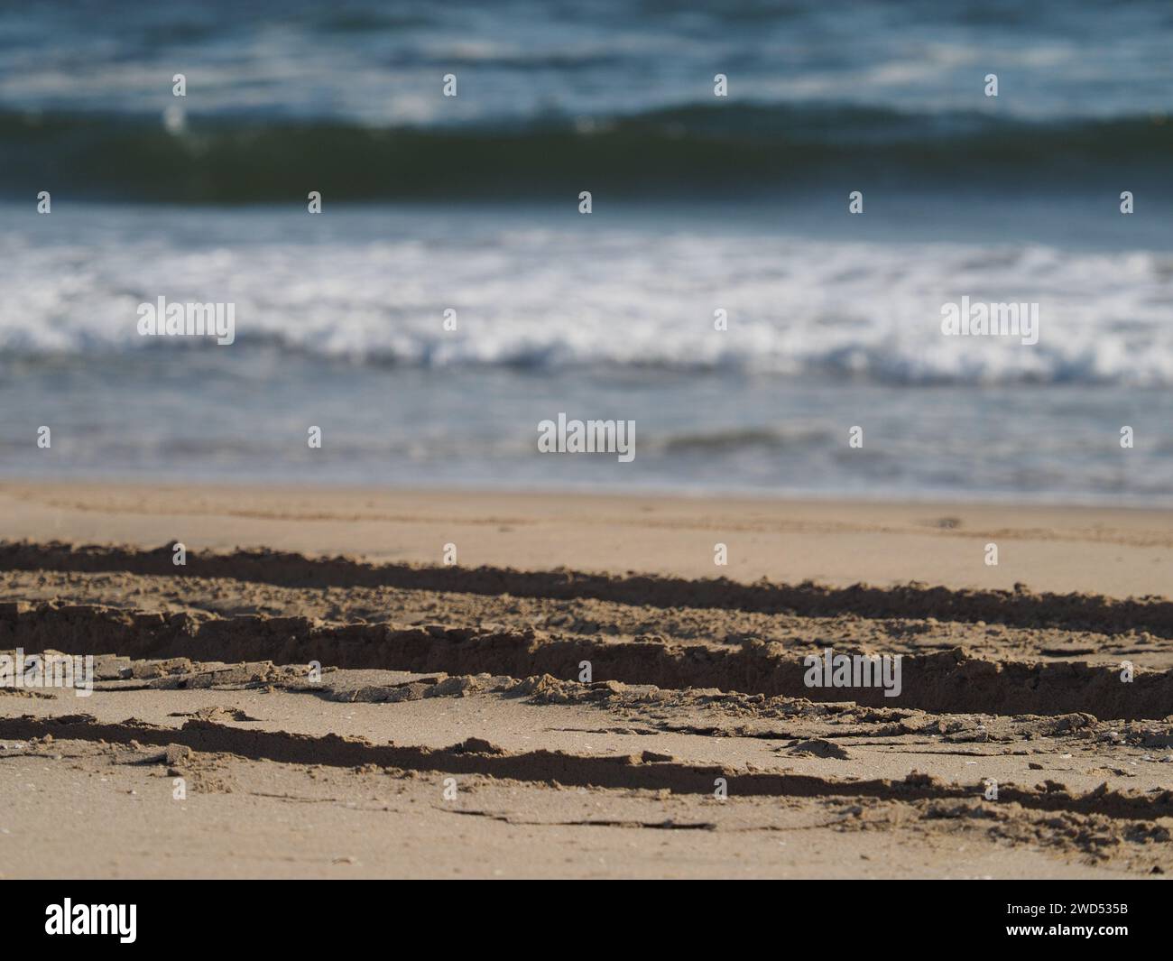 Wind peaceful hi-res stock photography and images - Alamy