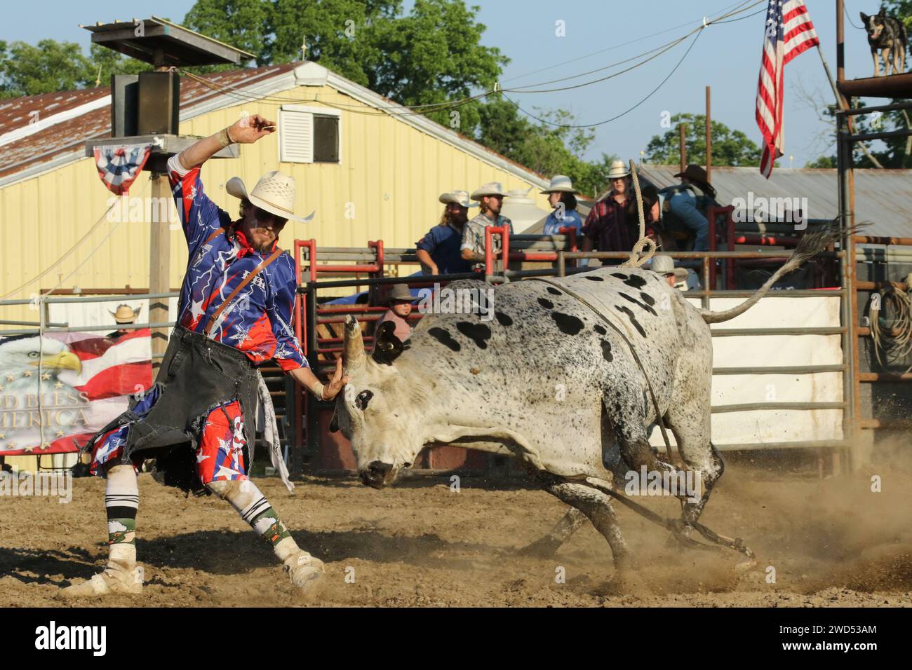 The rodeo clown versus the bull. Small town weekly Bull Riding as a ...