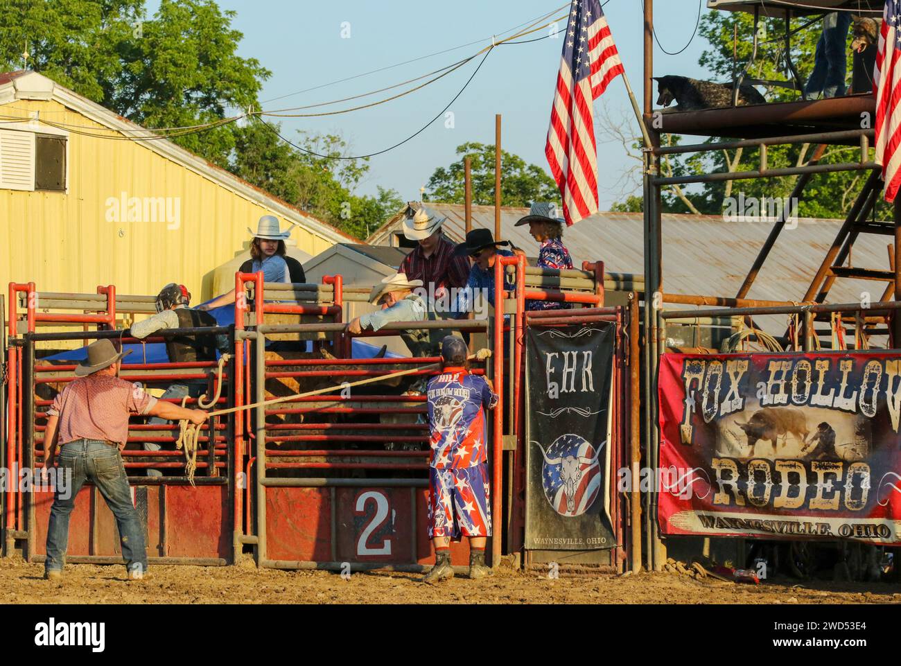 Ready at the gate. Small town weekly Bull Riding as a sport. Fox Hollow ...