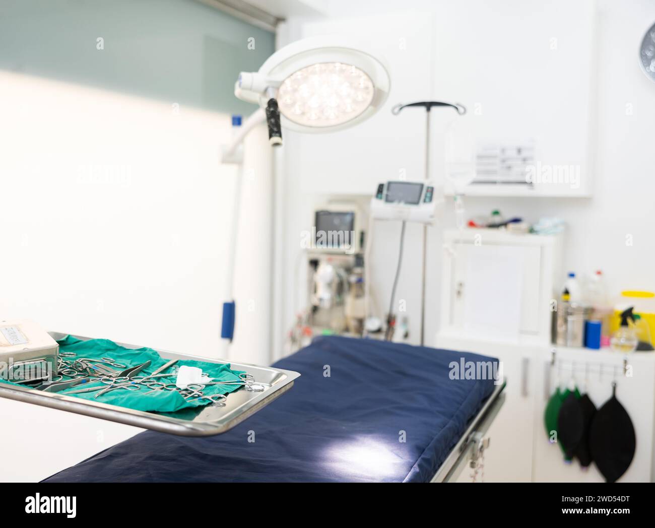 Veterinary surgical room with operating table, light and set of ...