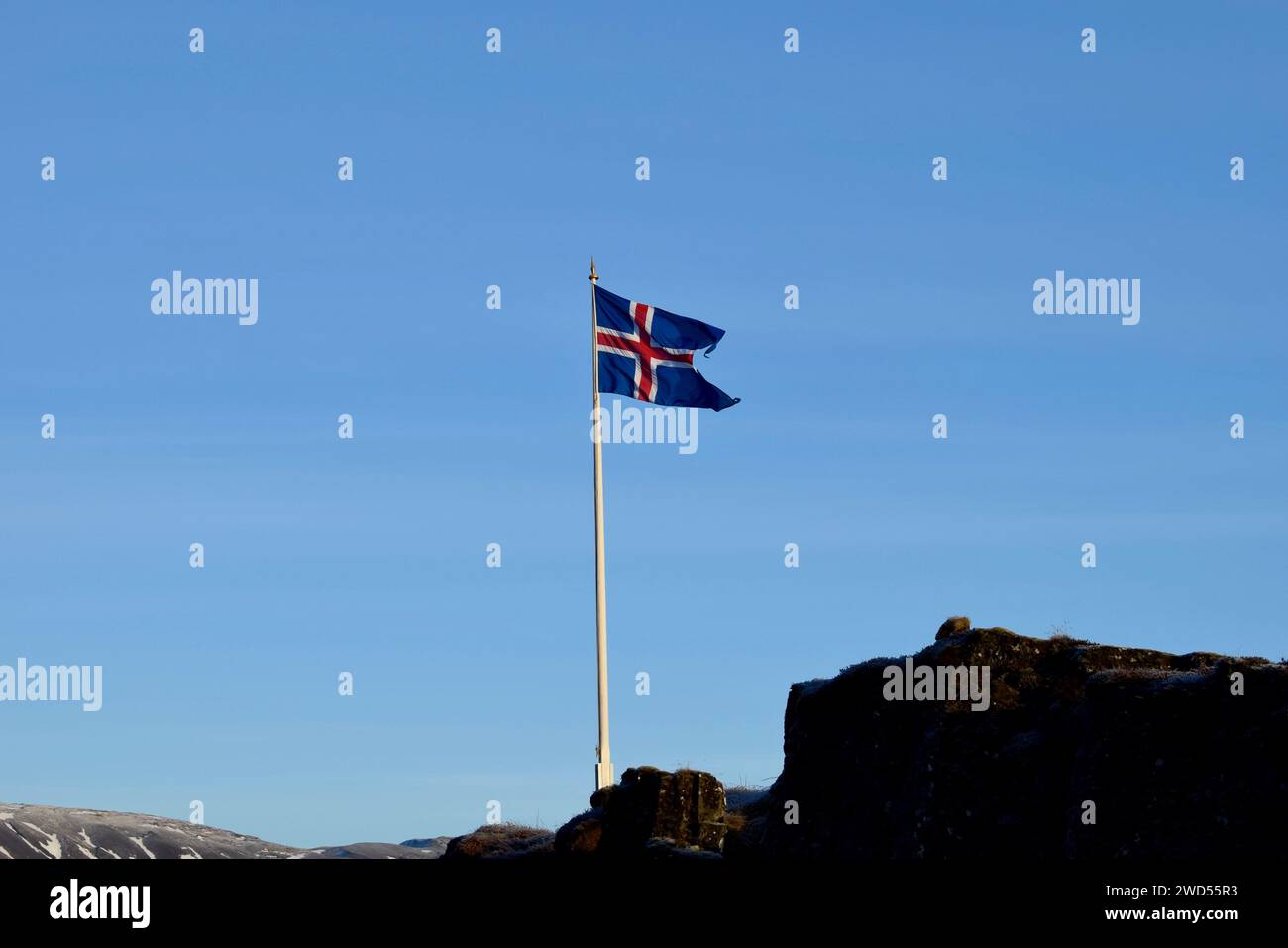 The Icelandic flag Stock Photo - Alamy