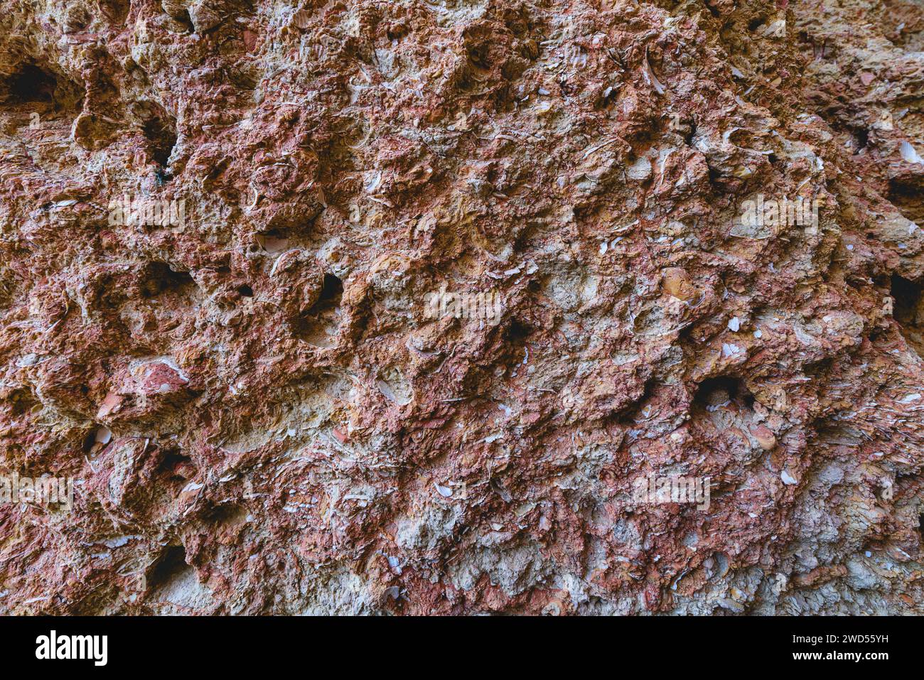 Sedimentary rock on the beach texture background. Full frame of ...