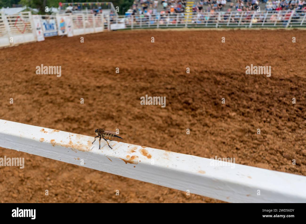 Sevier county fair hi-res stock photography and images - Alamy