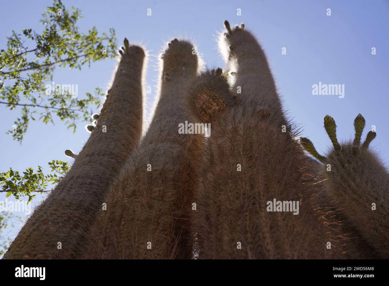 Palpala, jujuy, argentina hi-res stock photography and images - Alamy