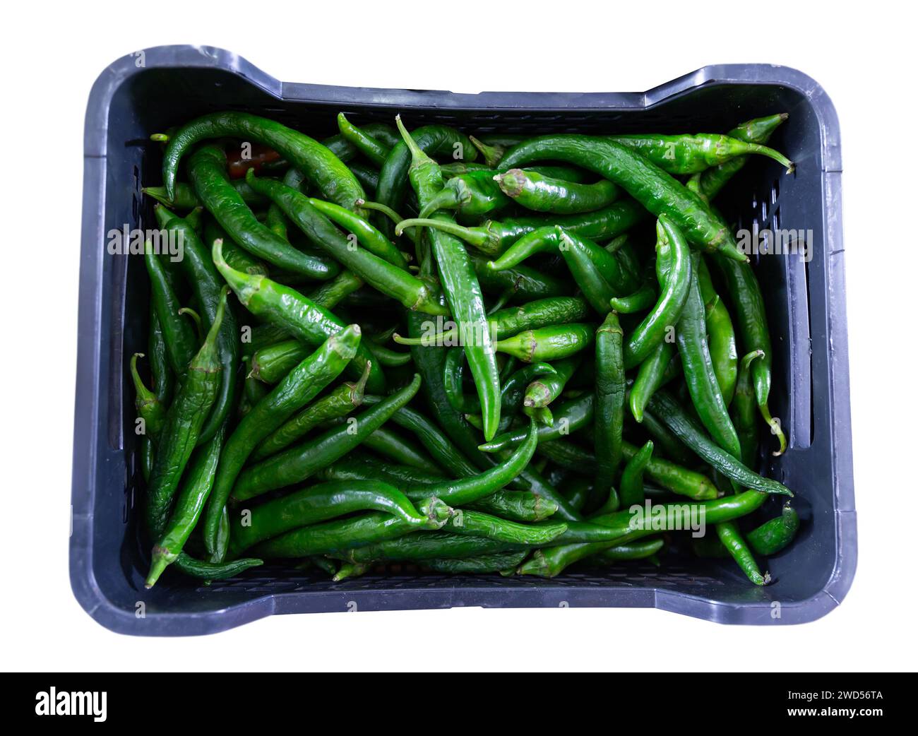 Photo shows garden stuff shop window with display of chilli pepper ...