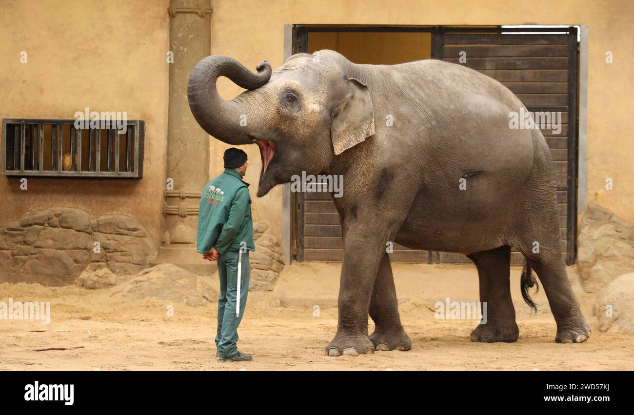 Tierpfleger hi-res stock photography and images - Alamy