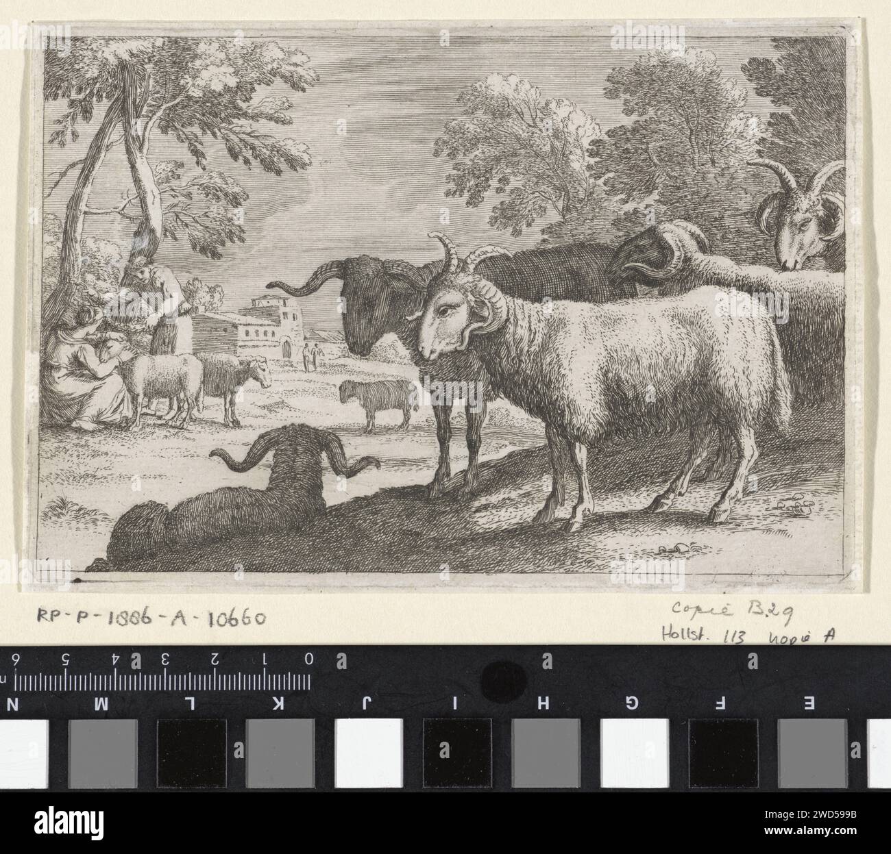 Anathoth hi-res stock photography and images - Alamy