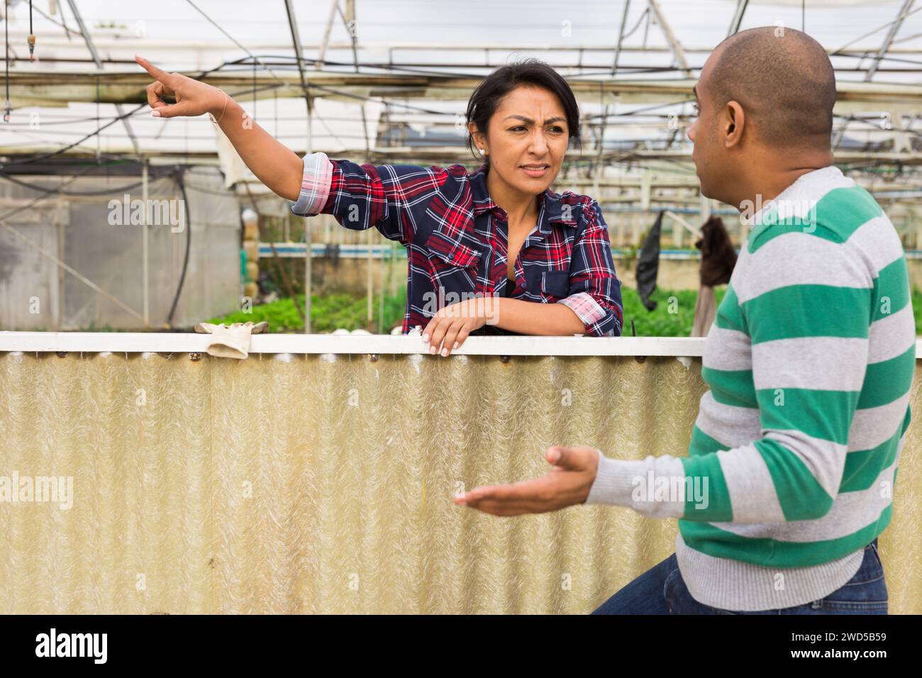 workers talking at vegetable plant factory Stock Photo - Alamy