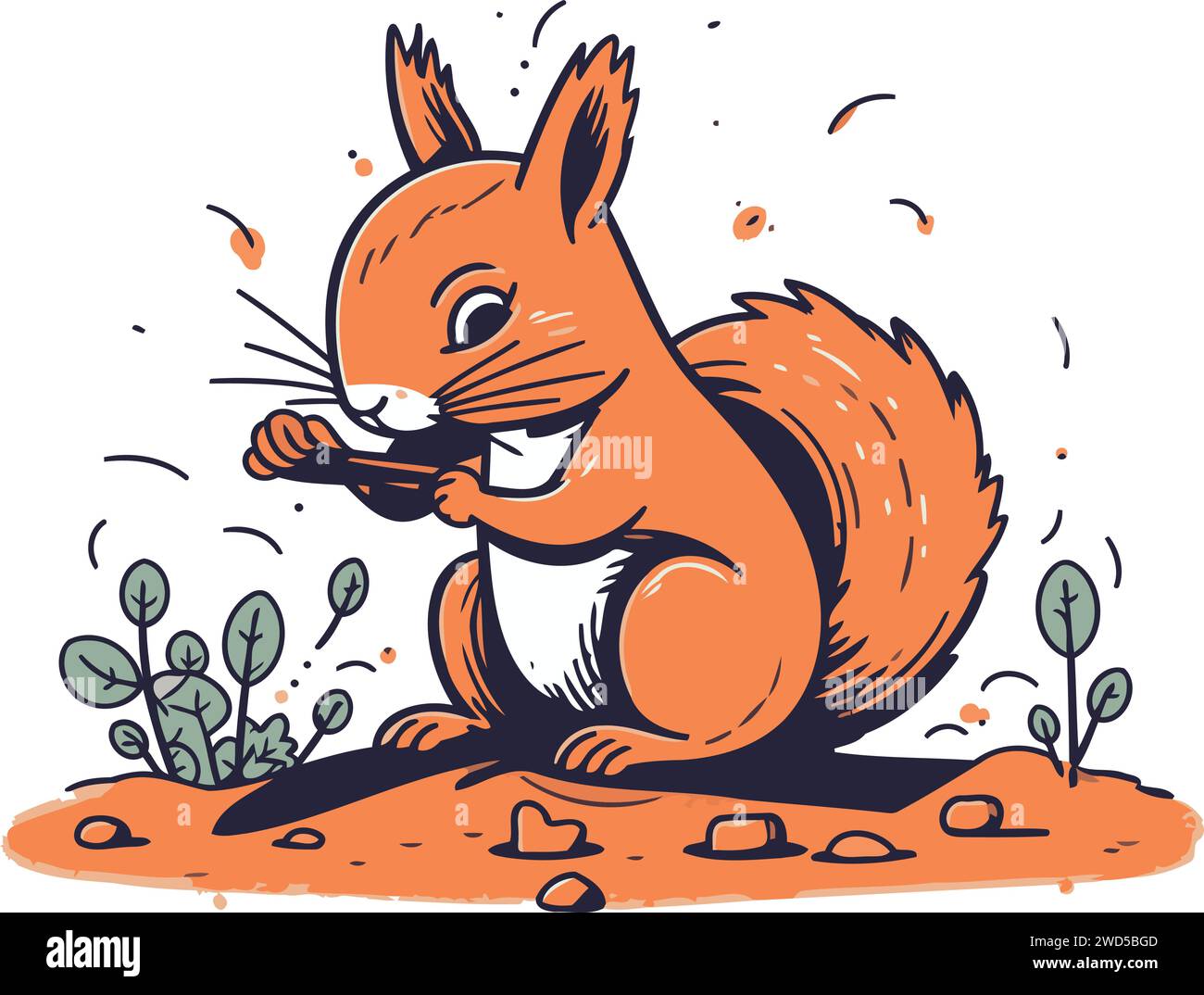 Squirrel eating nut animal wildlife Stock Vector Images - Alamy