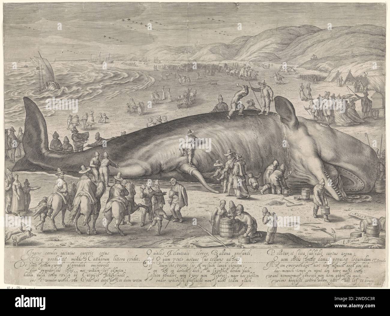 Three times four lines hi-res stock photography and images - Alamy