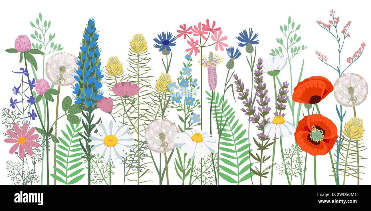 Hand drawn vector illustration. Summer horizontal background ...