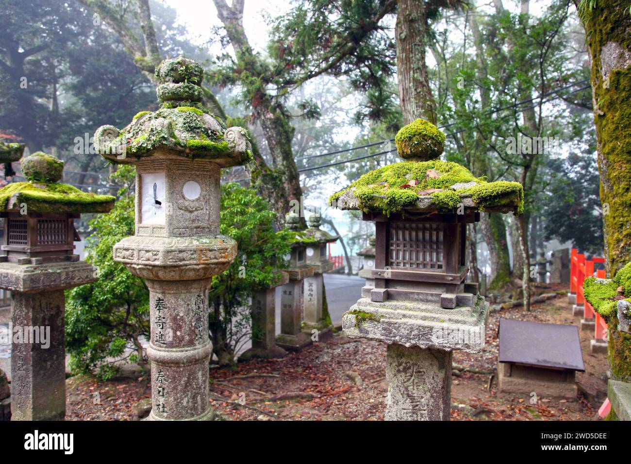 Moss covered Stone Lanterns at Kasuga Taisha or Kasuga Grand Shrine in ...