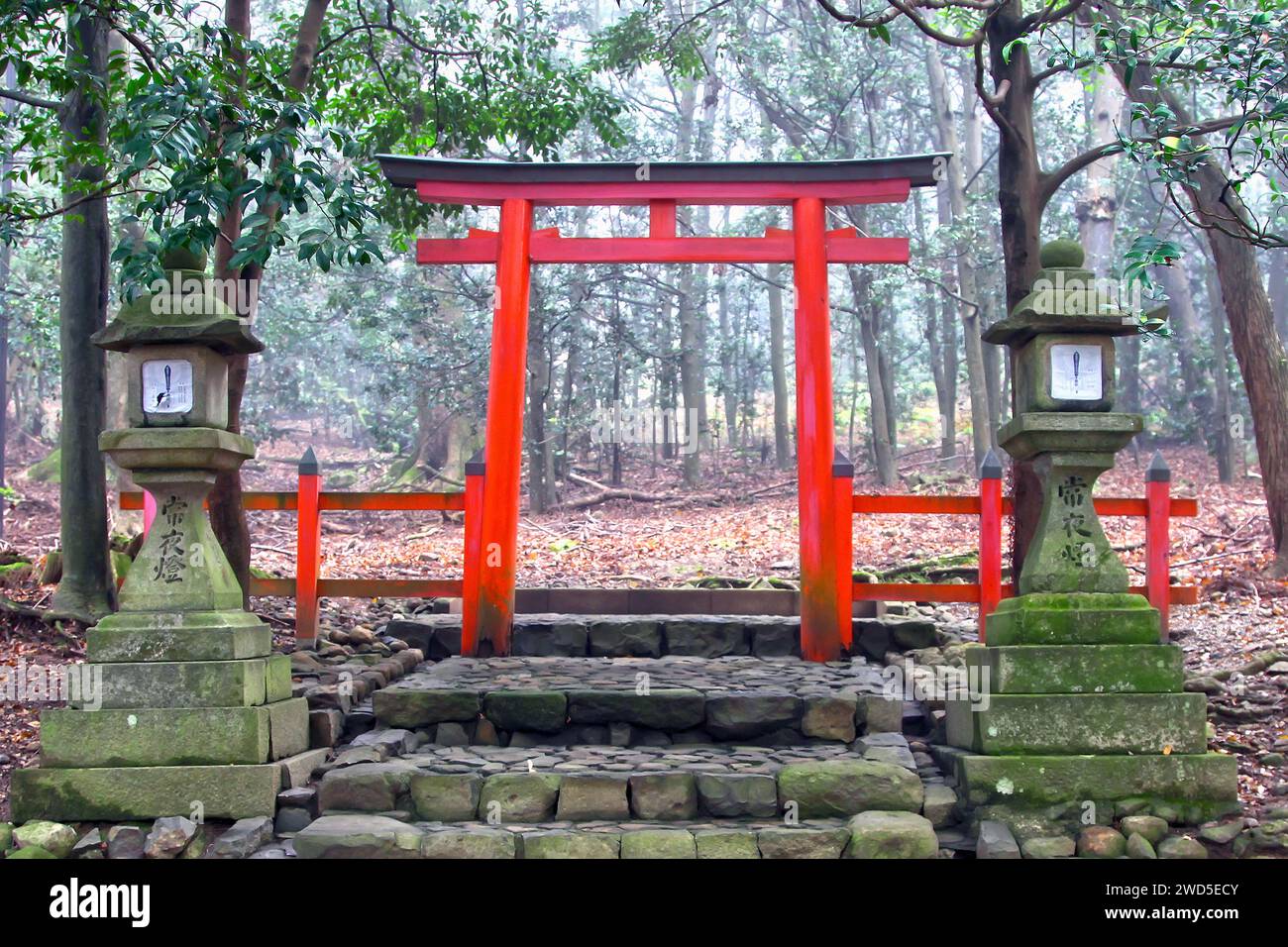 Torii gate st the Wakamiya Shrine at Kasuga Taisha or Kasuga Grand ...