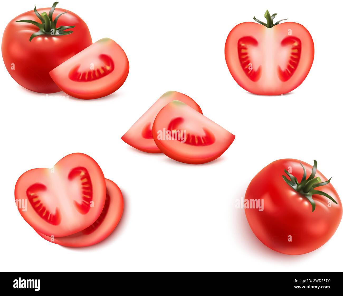 realistic vector icon set. Red tomato whole, cut and sliced fresh ...