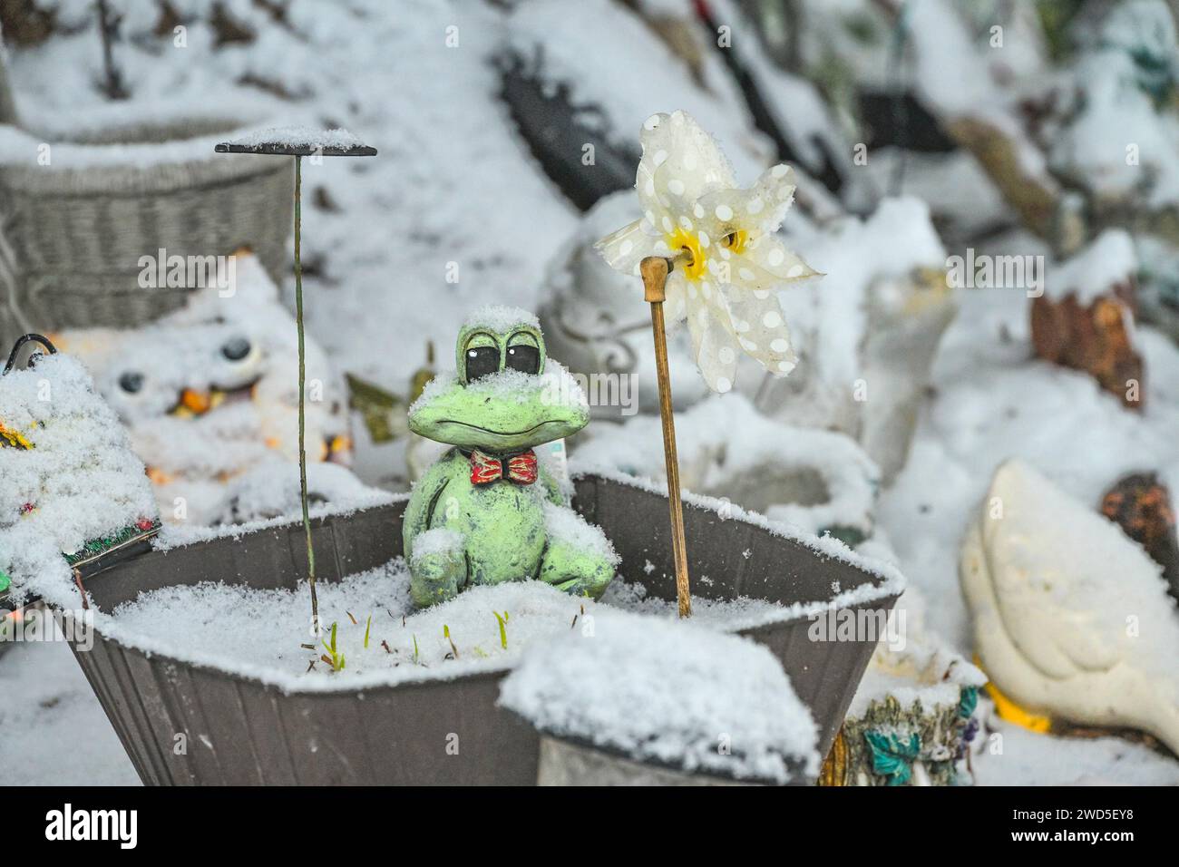 outdoors, frog, garden, decoration, snow, winter Stock Photo - Alamy
