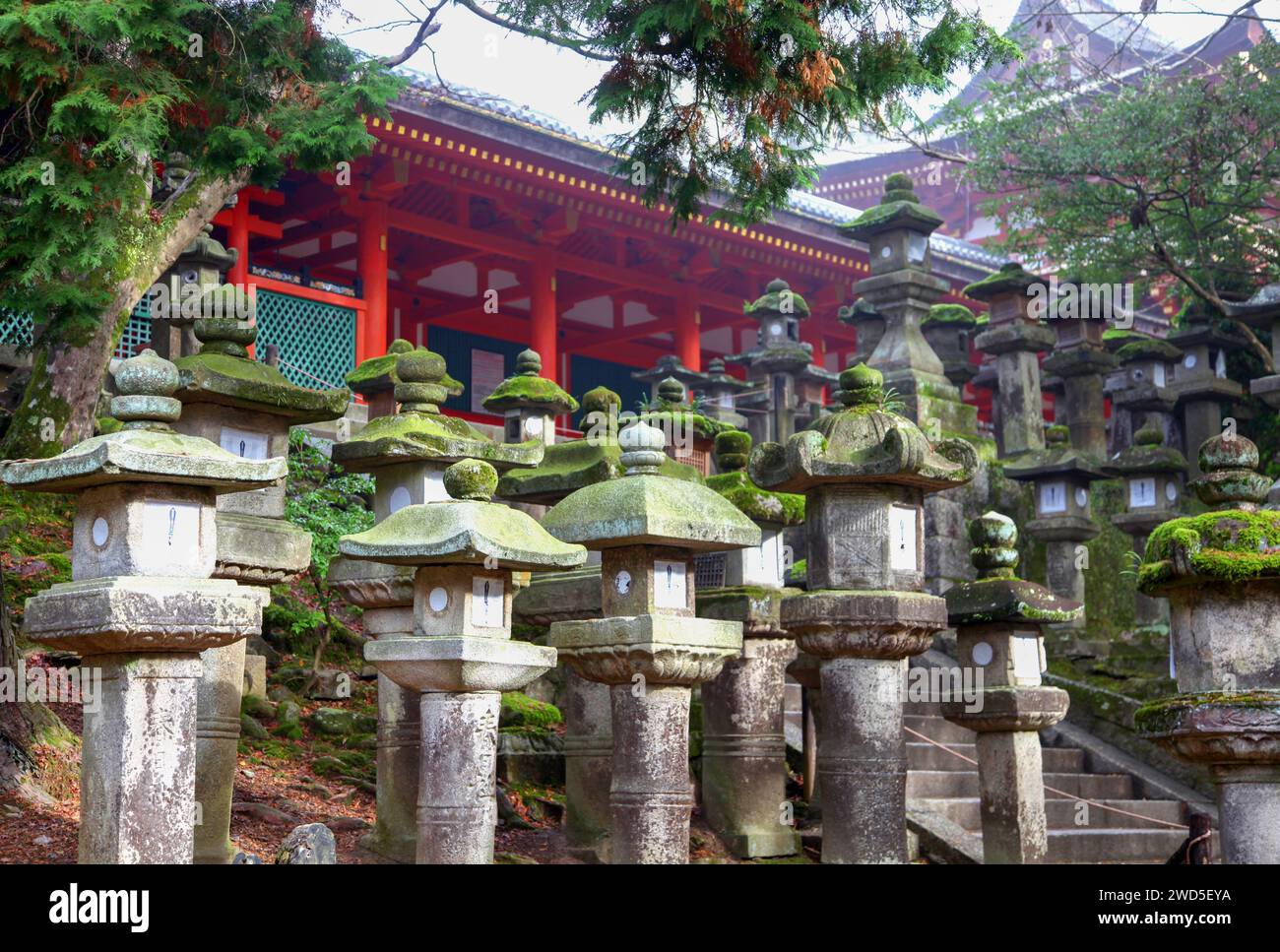 Moss covered Stone Lanterns at Kasuga Taisha or Kasuga Grand Shrine in ...