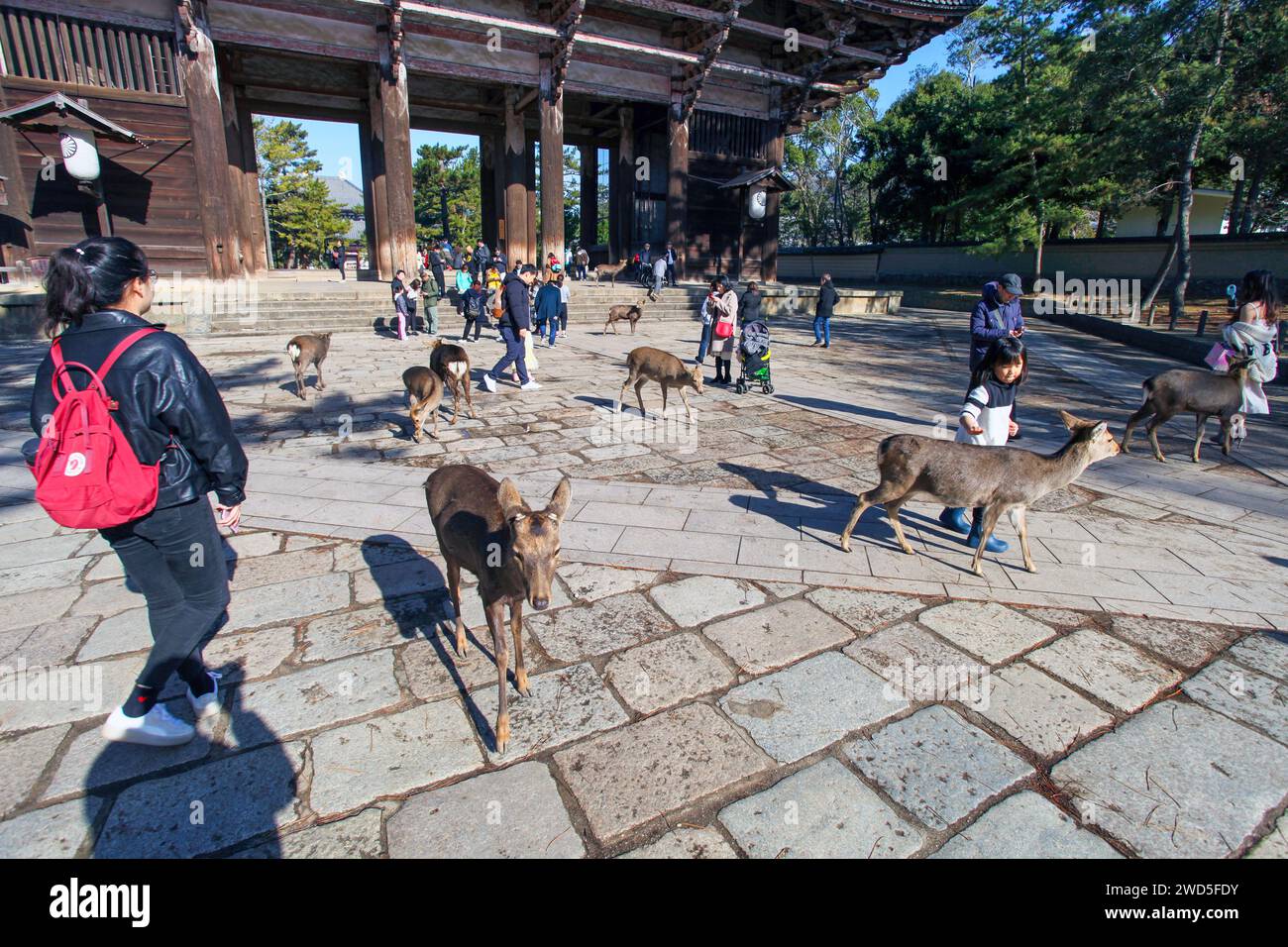 The Great South Gate or Nandaimon of Todaiji Temple, a UNESCO World ...