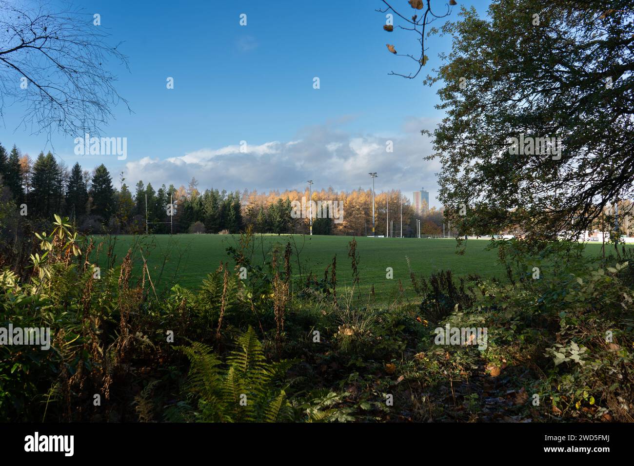 practice rugby pitch at calderglen country park Stock Photo - Alamy