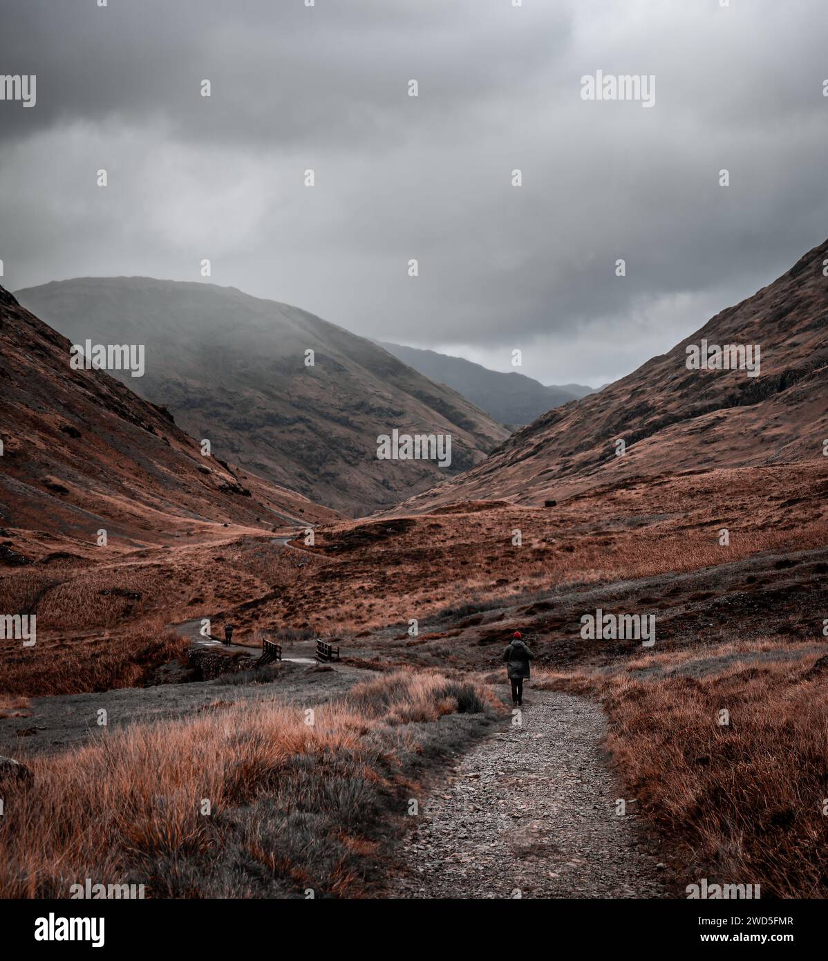walker on the path within the three sisters of glencoe Stock Photo - Alamy