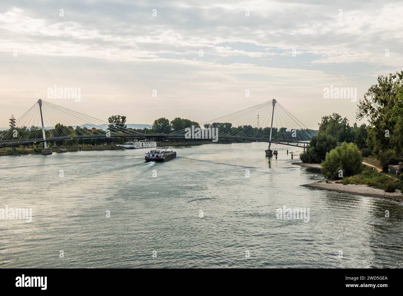 Bridge over the Rhine, cable-stayed bridge Passerelle des Deux Rives ...