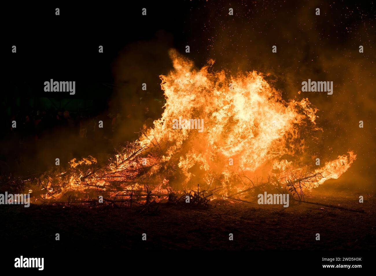 Environmental pollution, fire from discarded Christmas trees ...