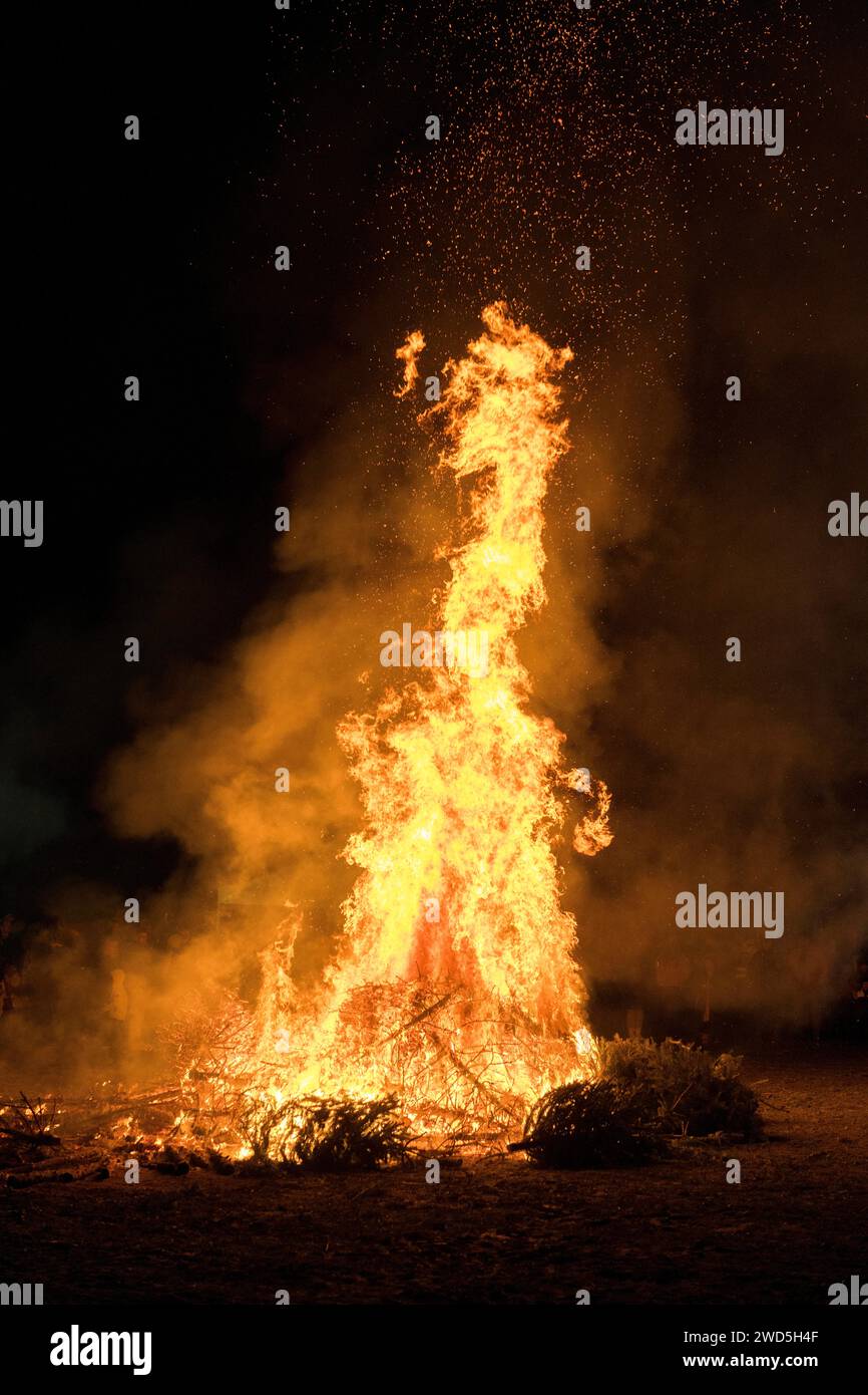 Environmental pollution, fire from discarded Christmas trees ...