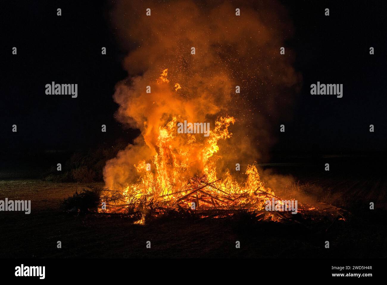 Environmental pollution, fire from discarded Christmas trees ...