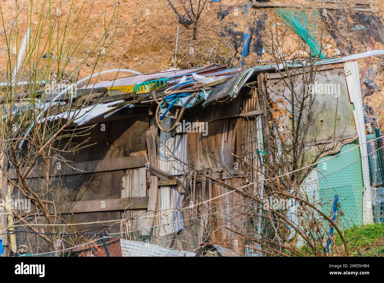 Abandoned shack made of old wood and sheet-metal, South Korea Stock ...