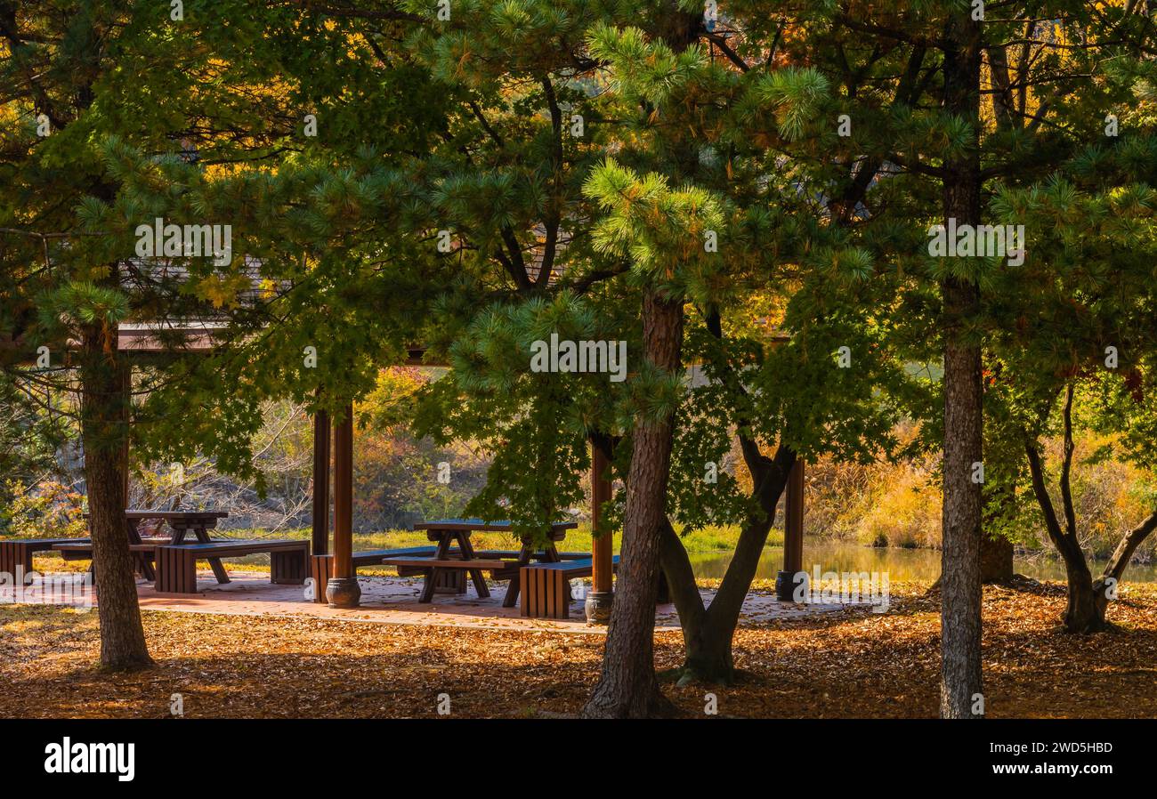 Covered wooden picnic tables nestled under shade trees in front of pond ...