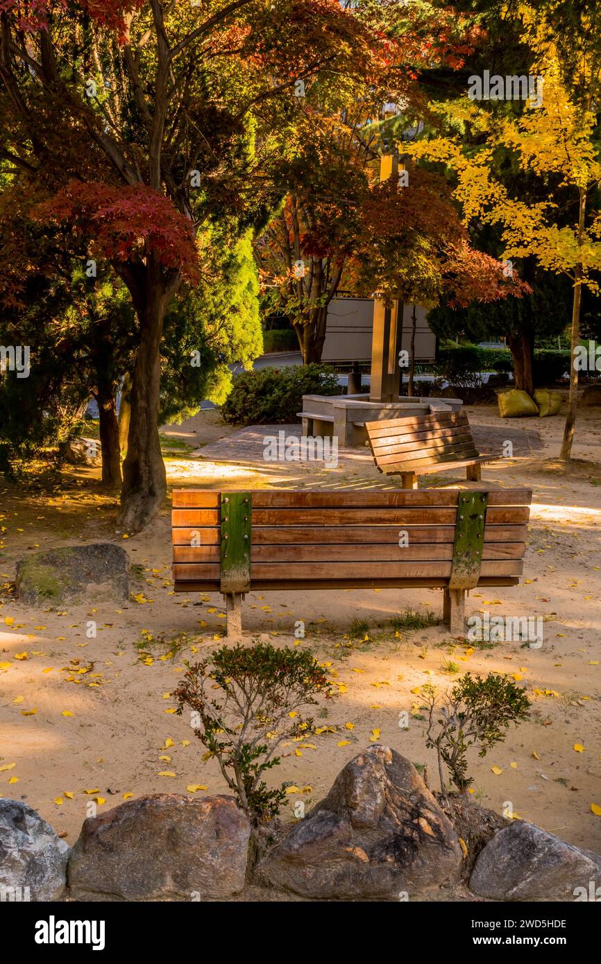 Two wooden park benches in clearing under shade trees, South Korea ...