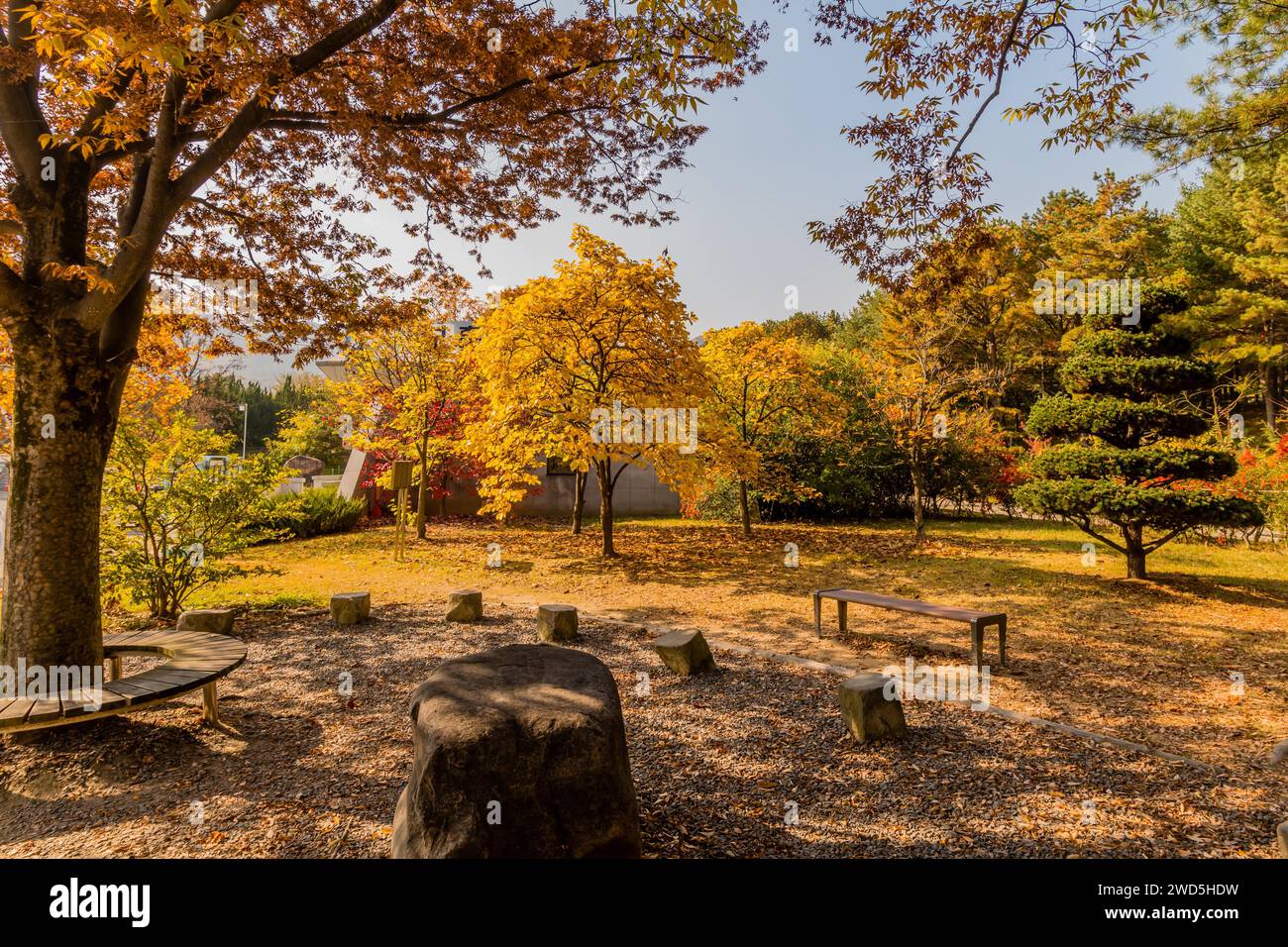 Park benches around large boulder under shade tree with trees in fall ...