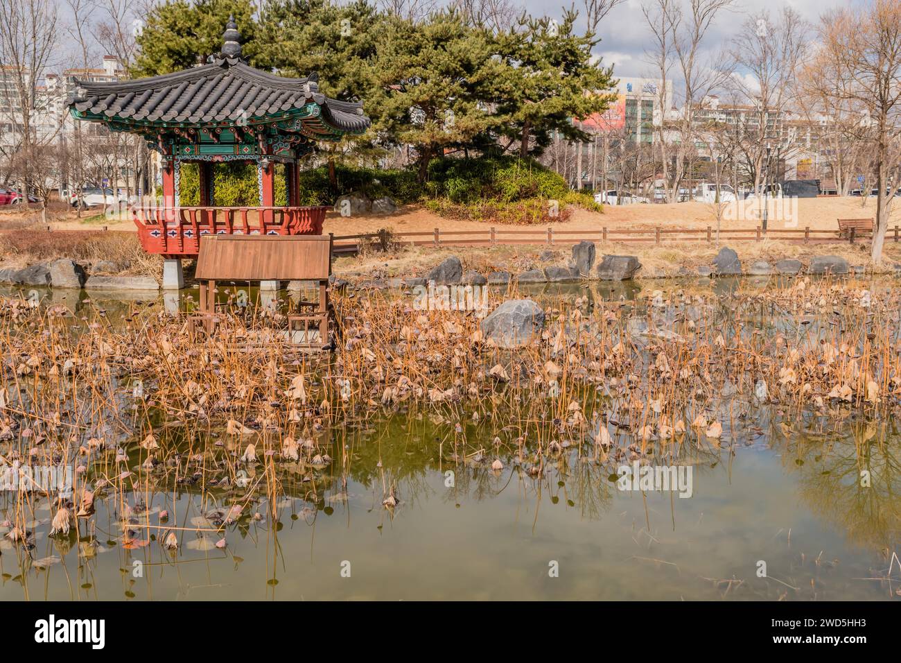 Oriental gazebo on edge of pond with grove of evergreen trees and city ...