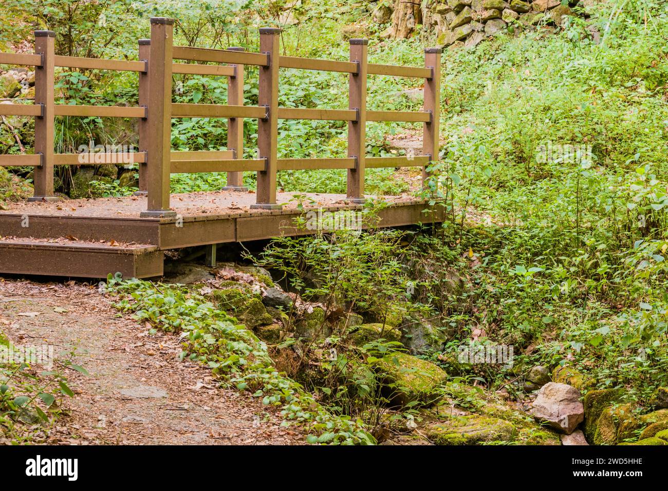 Wooden footbridge over a small stream on hiking trail in mountain ...