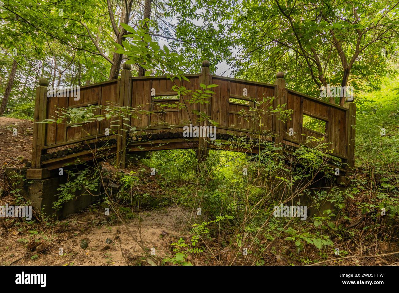 Wooden foot bridge nestled under lush trees in a woodland park in South ...
