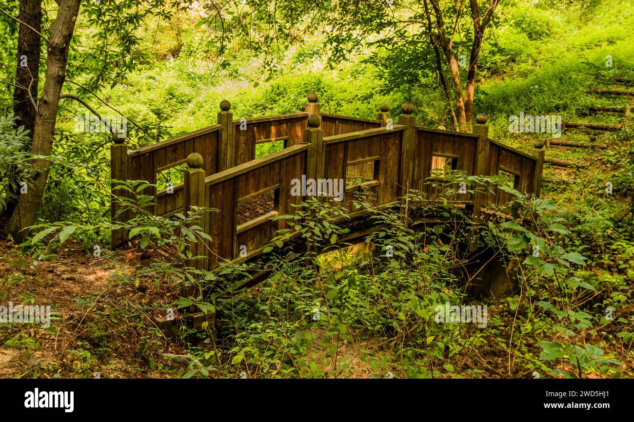 Wooden foot bridge nestled under lush trees in a woodland park in South ...