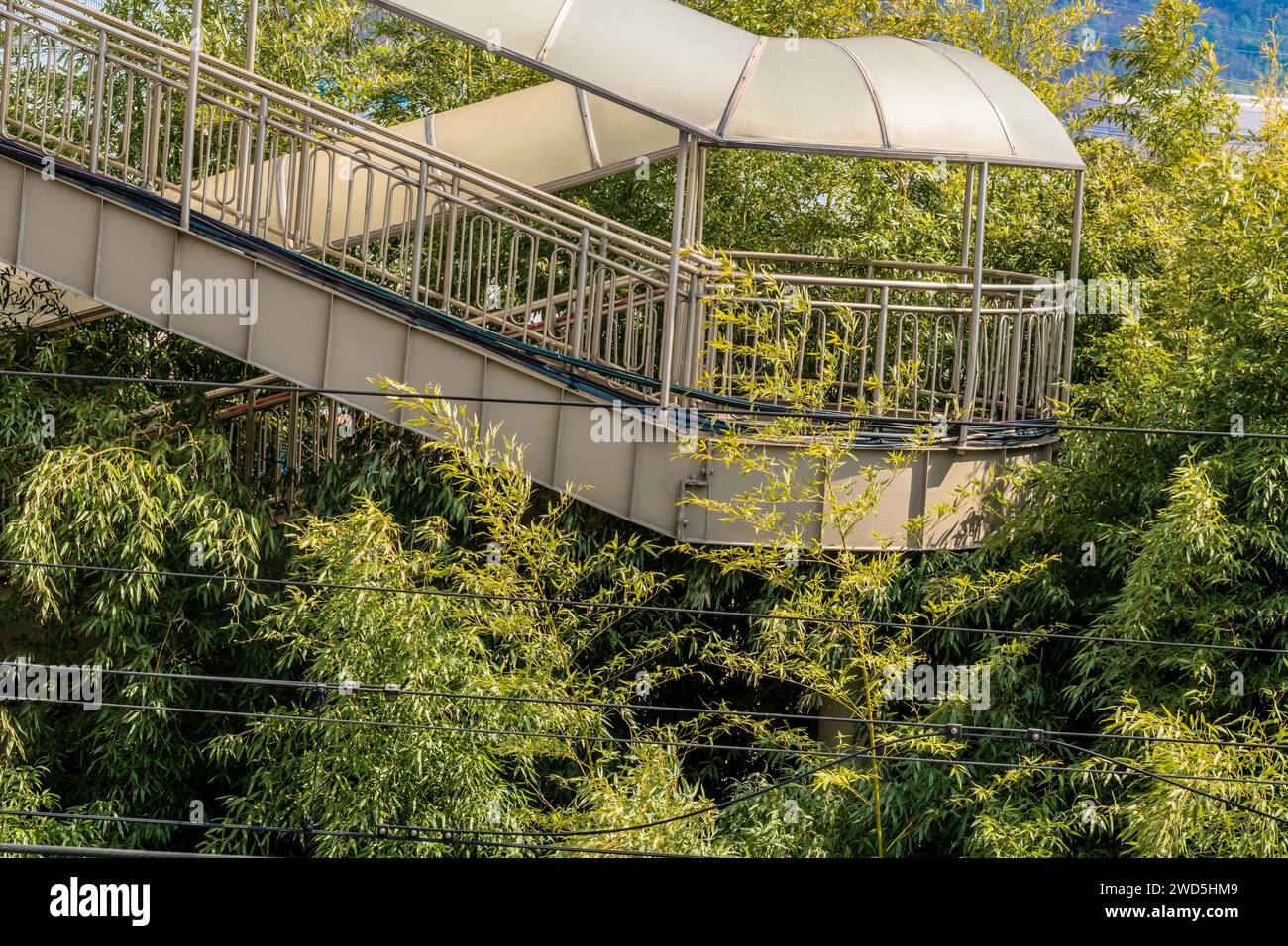 Covered stairs of pedestrian bridge in front of tall lush trees with ...