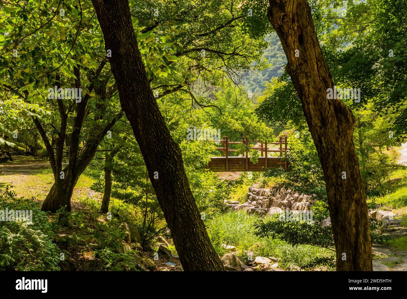 Wooden footbridge over small mountain stream in public park framed ...