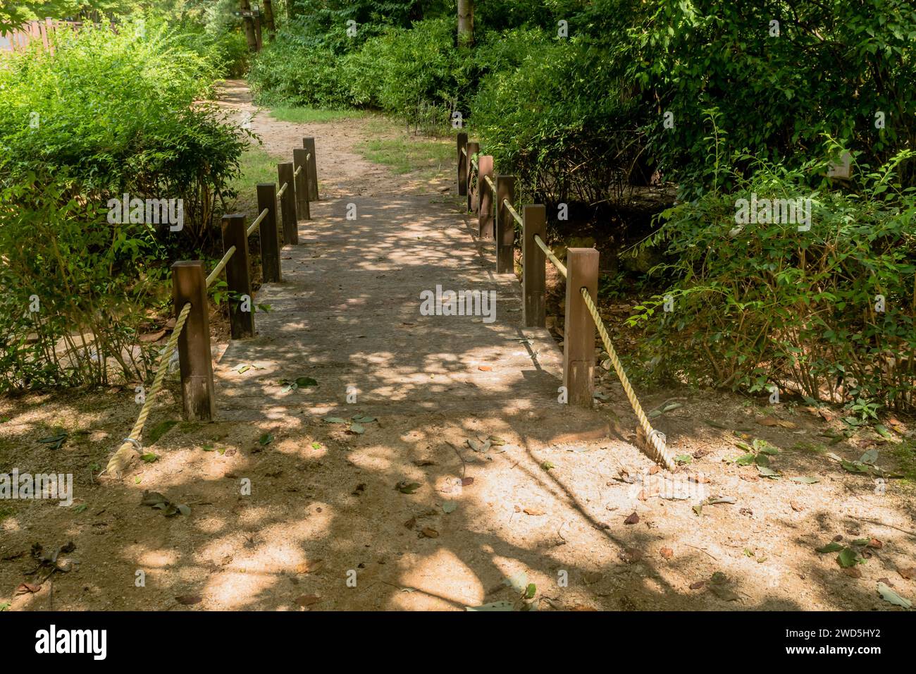Small wooden footbridge over shallow ravine on hiking trail in ...
