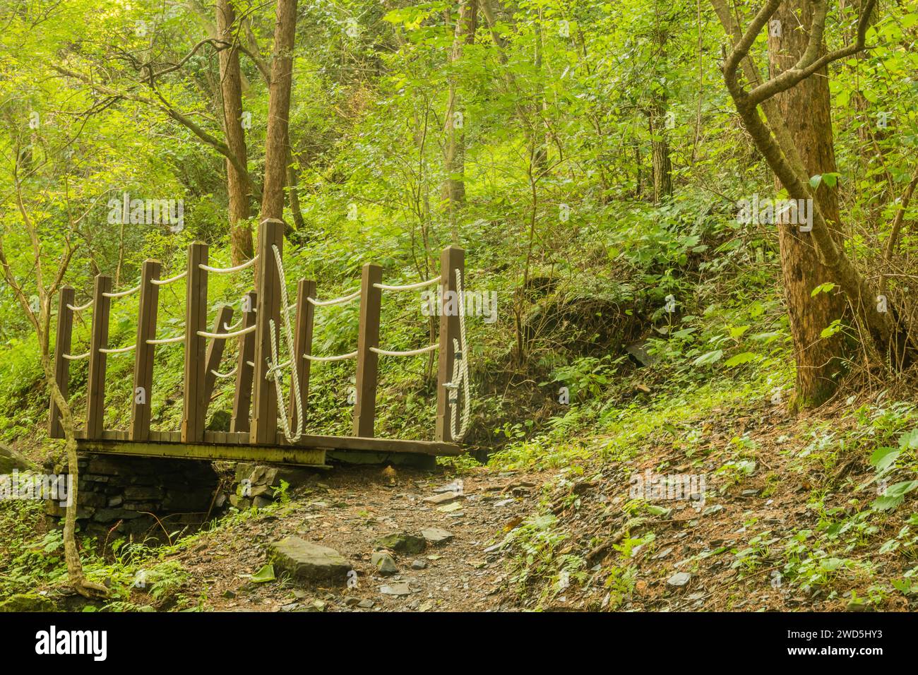 Small wooden footbridge over ravine in mountainside wilderness park ...