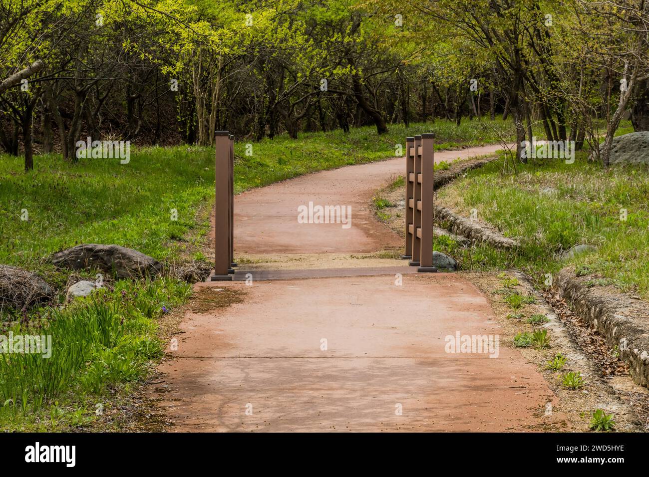 Sidewalk across wooden footbridge in woodland mountain ecological park ...