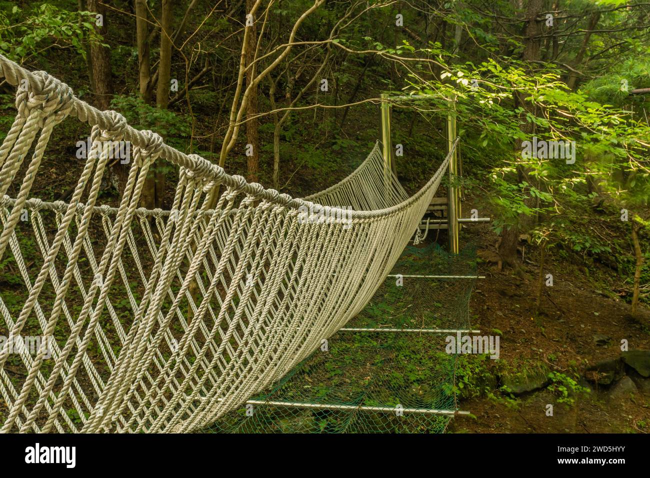Side view of rope footbridge part of obstacle course at public mountain ...