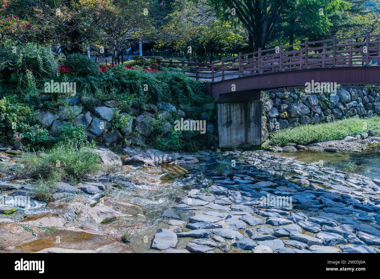 Wooden footbridge over stream in beautiful rural mountain park, South ...