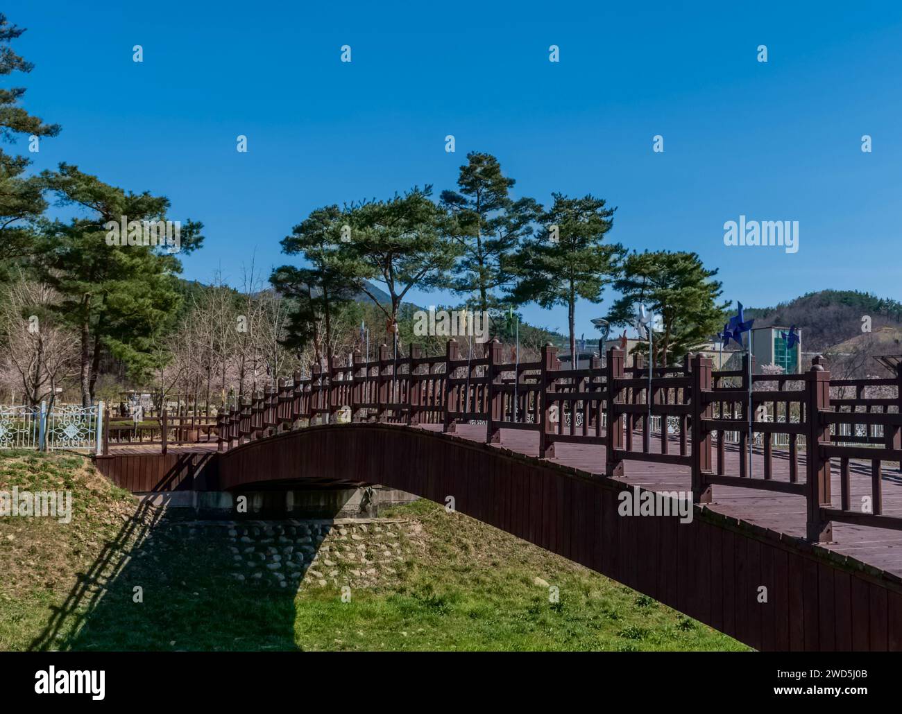 Wooden footbridge at public park with clear blue sky and evergreen ...