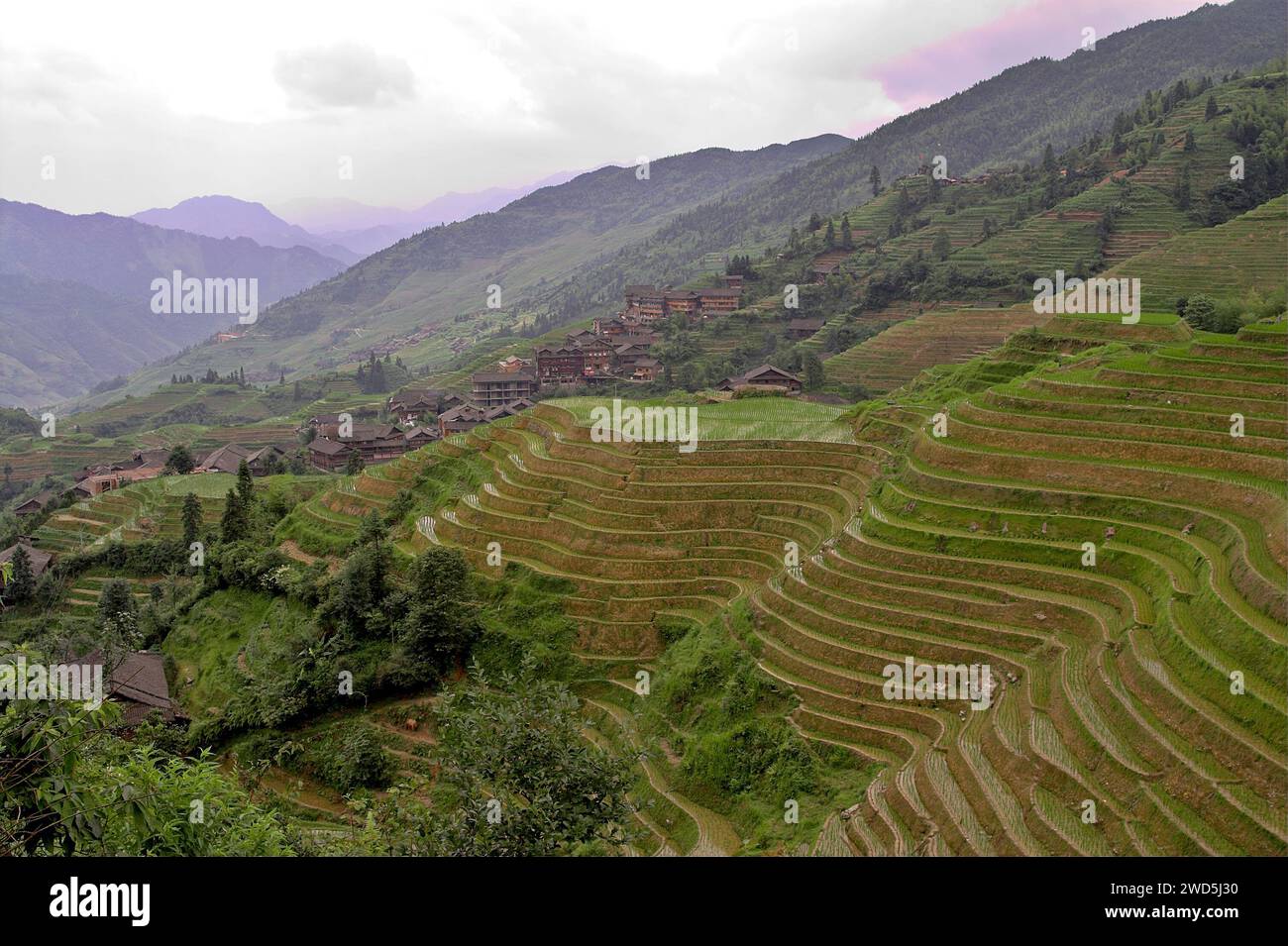 Cultivo de terrazas hi-res stock photography and images - Alamy