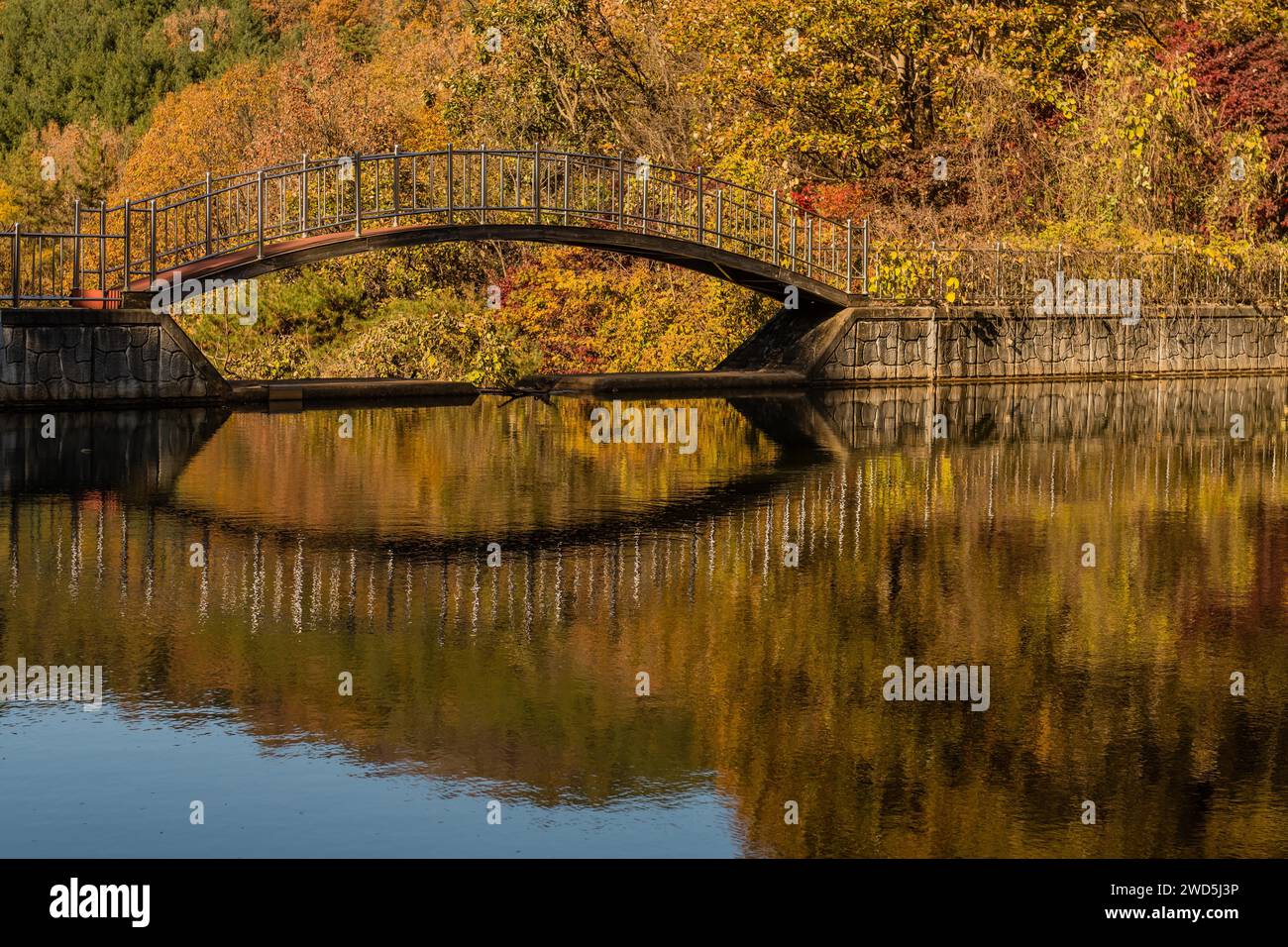 Footbridge over small pond in mountain valley with trees in beautiful ...