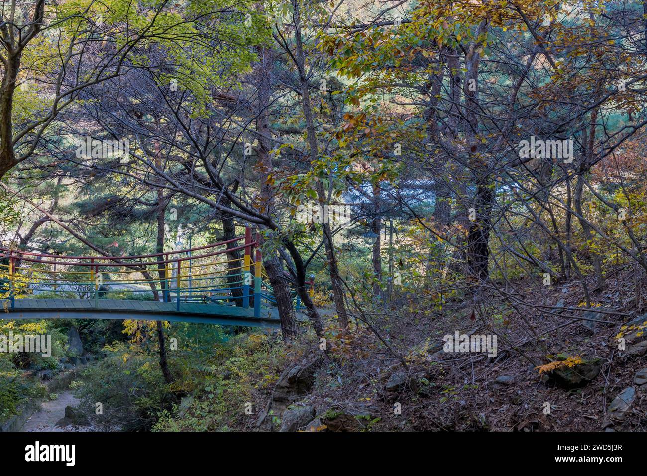 Metal footbridge over ravine in mountain forest, South Korea Stock ...
