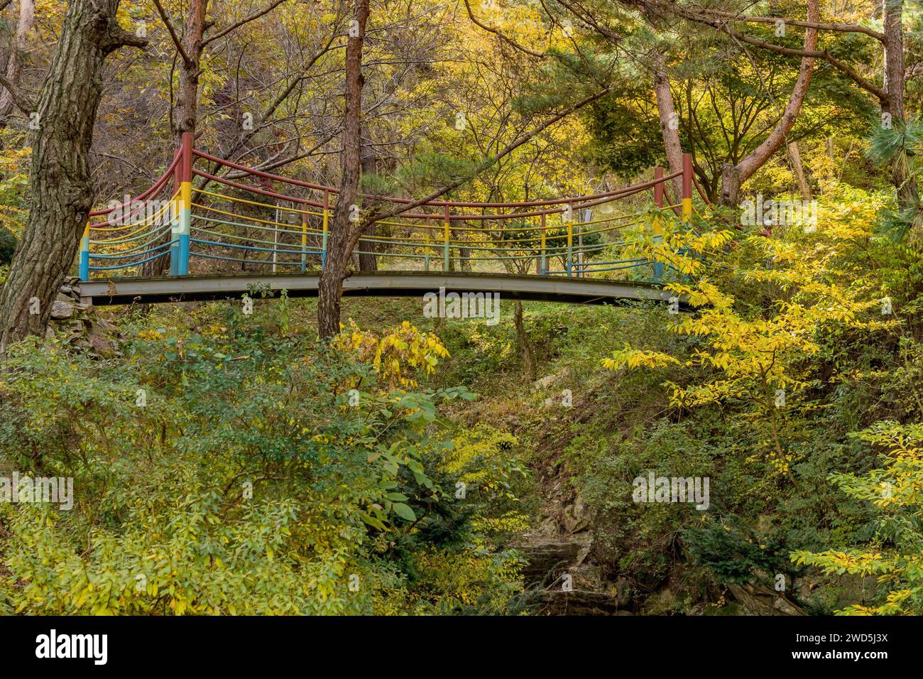 Metal footbridge over ravine in mountain forest, South Korea Stock ...