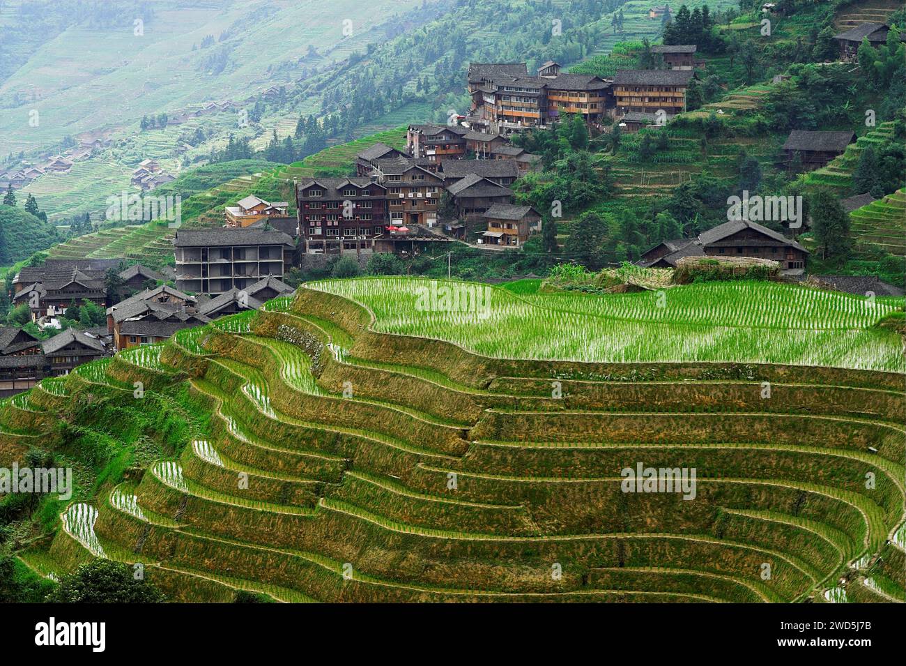 Cultivo de terrazas hi-res stock photography and images - Alamy