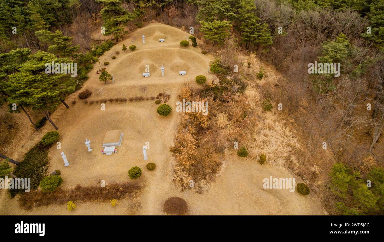 Aerial view of small oriental burial mounds in a woodland graveyard in ...