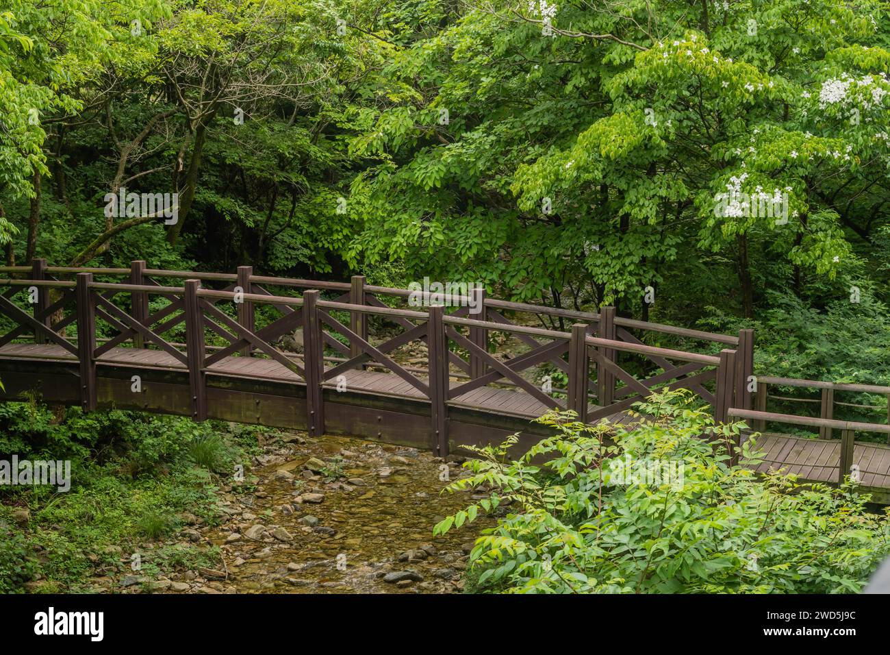 Small footbridge over stream in hi-res stock photography and images - Alamy
